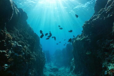 How Deep Light Penetrates the Ocean