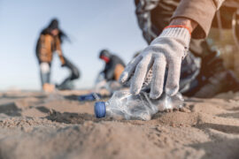 10 Effective Ways You Can Help Save the Oceans