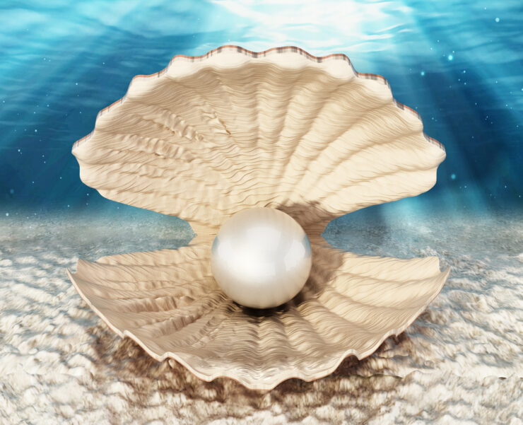 The Biggest Pearl in the World