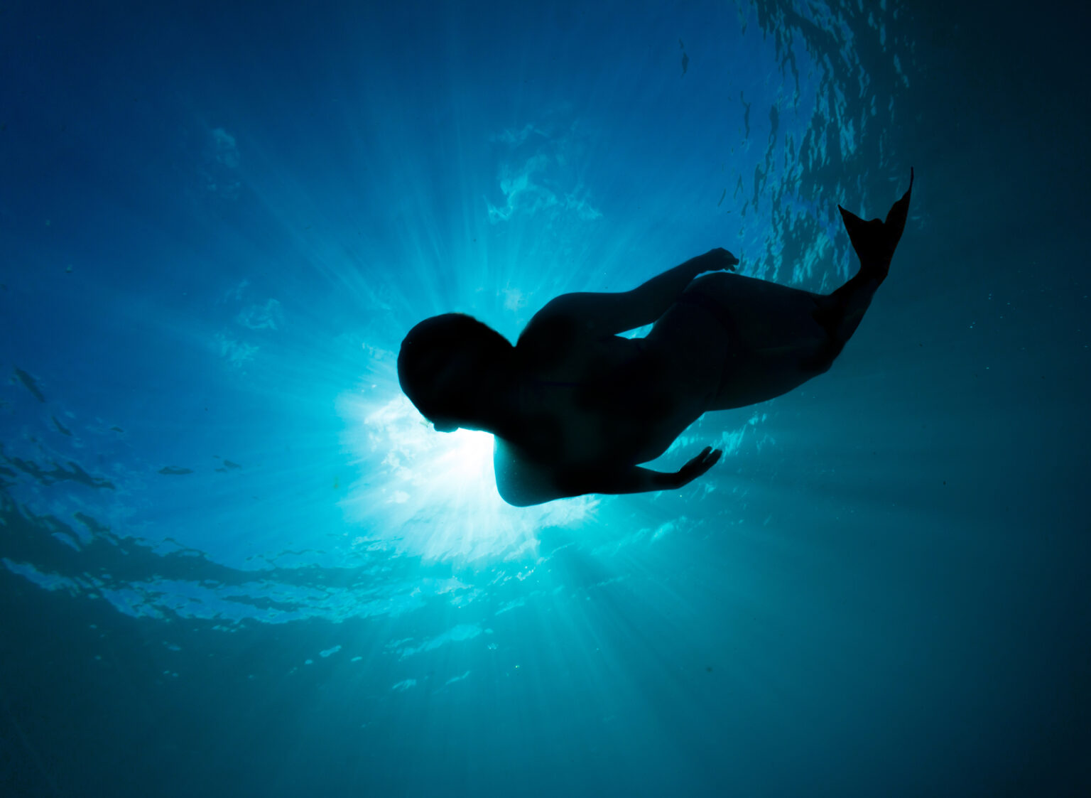 The Shocking Truth Behind Reported Mermaid Sightings