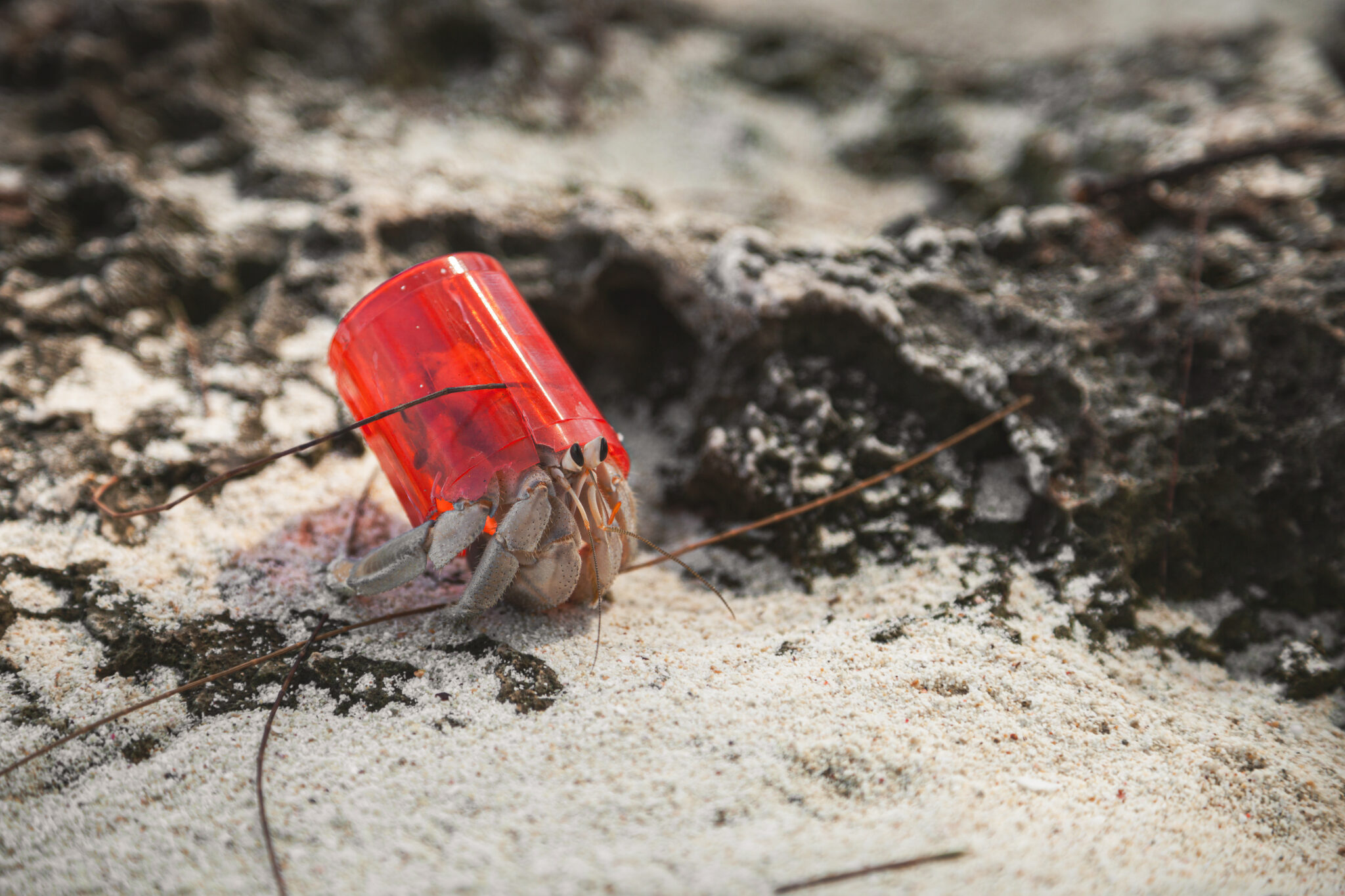 10 Incredibly Disturbing Things We Still Don't Know About the Ocean