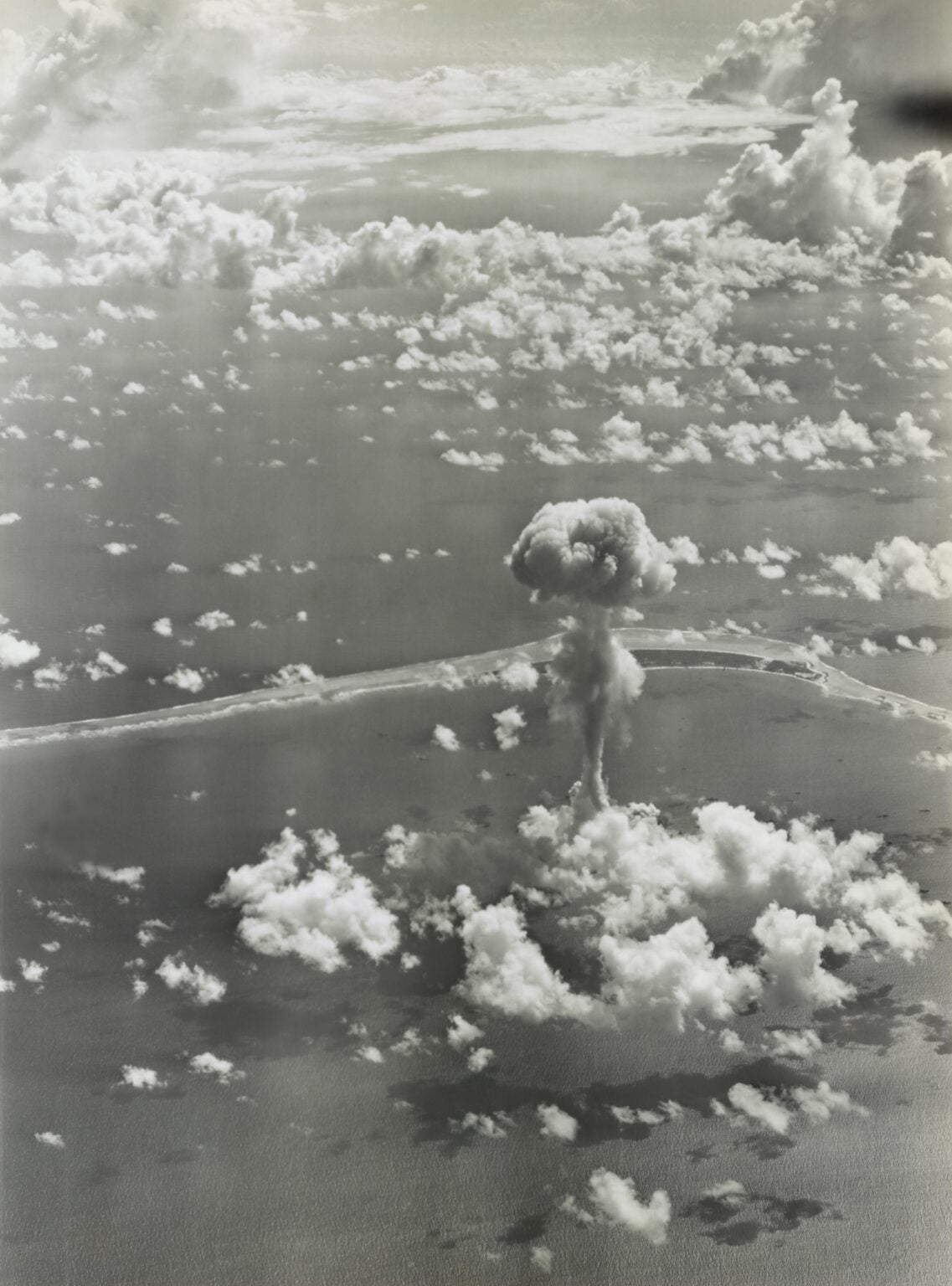Bikini Atoll Mutated Animals: Examining the Legacy of Nuclear Testing