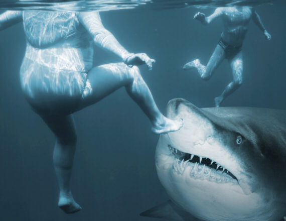 The Gruesome Egypt Shark Attack That Shook the World