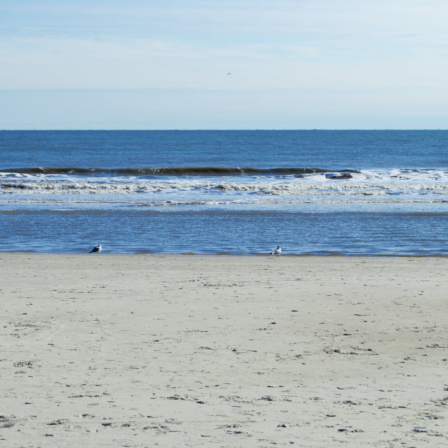Top 20 Beaches in South Carolina Ranked