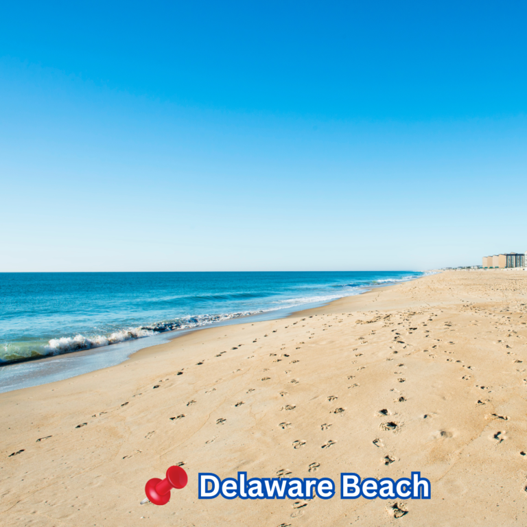 The Top 10 Beaches in Delaware Ranked