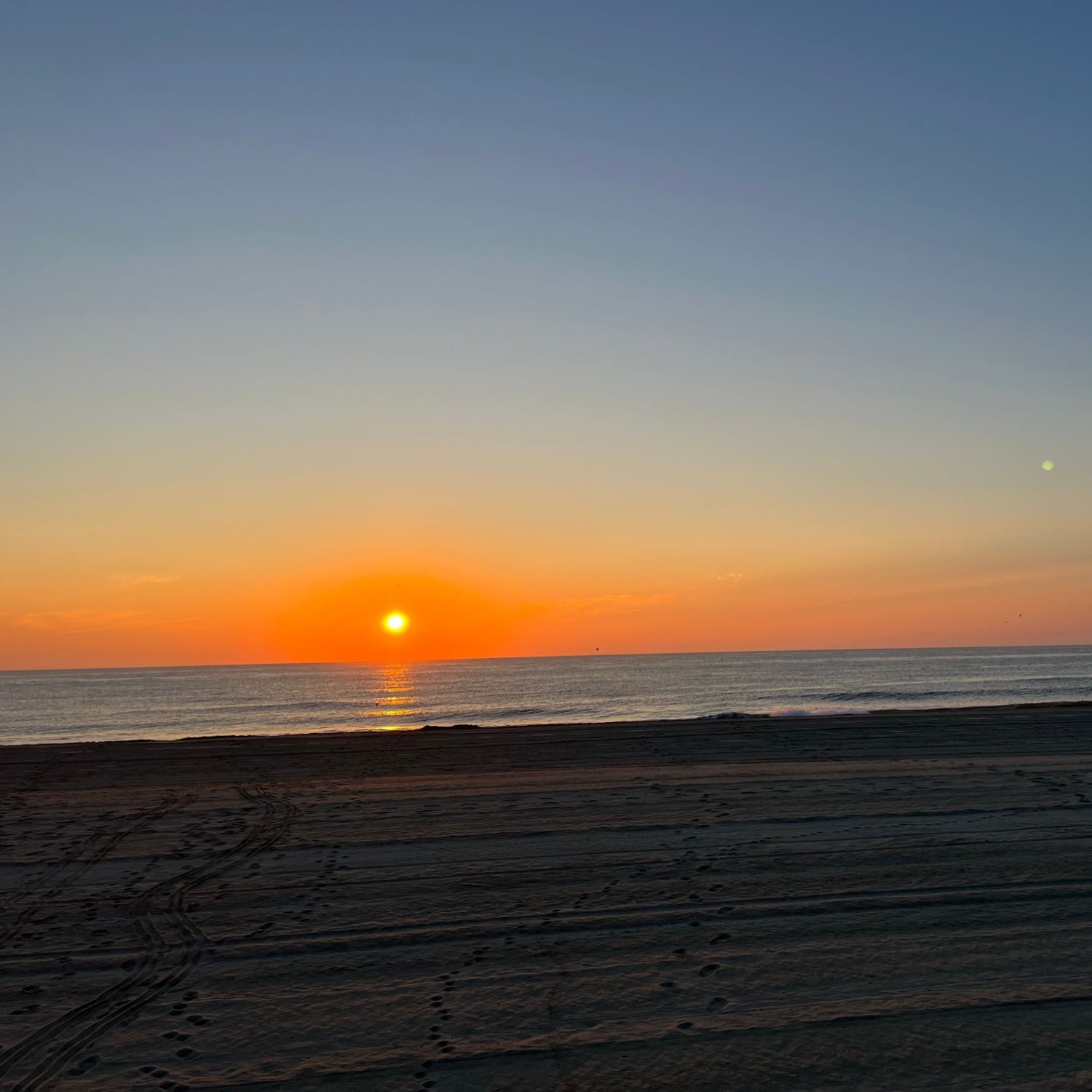 The Top 10 Beaches in Delaware Ranked