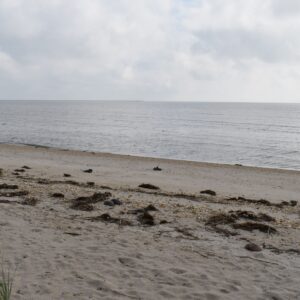 The Top 10 Beaches in Delaware Ranked
