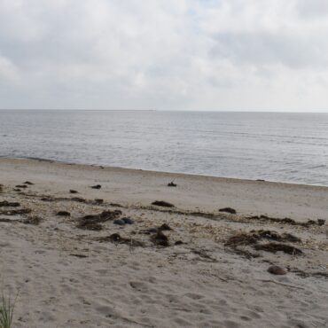 The Top 10 Beaches in Delaware Ranked