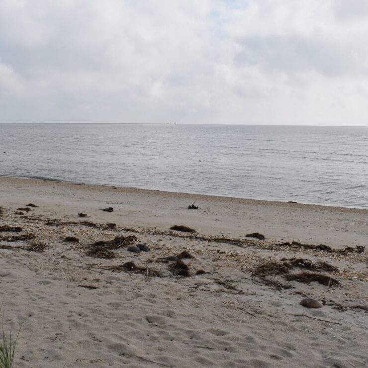 The Top 10 Beaches in Delaware Ranked