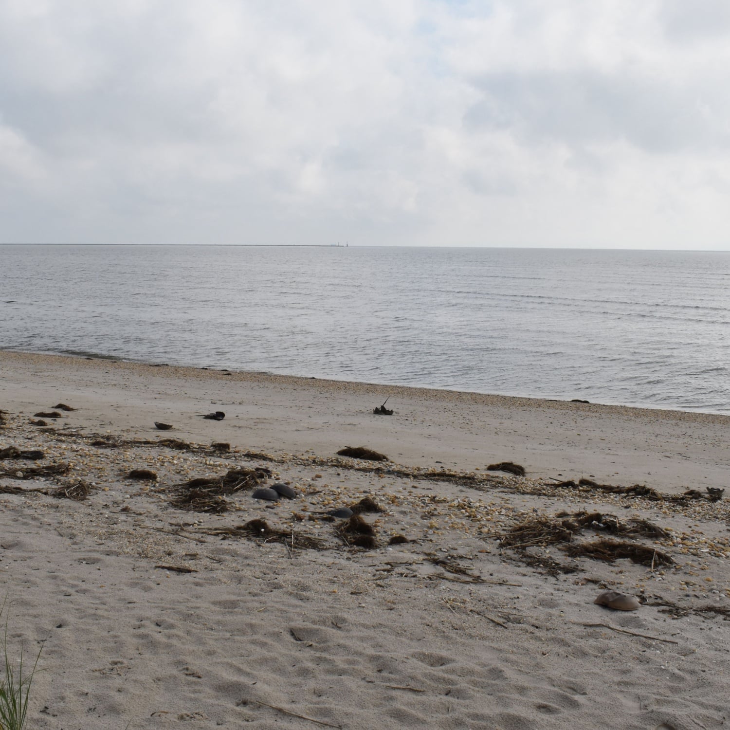 The Top 10 Beaches in Delaware Ranked