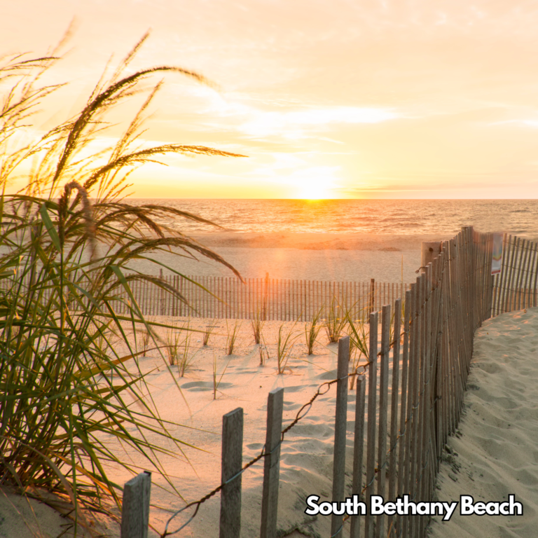 The Top 10 Beaches in Delaware Ranked